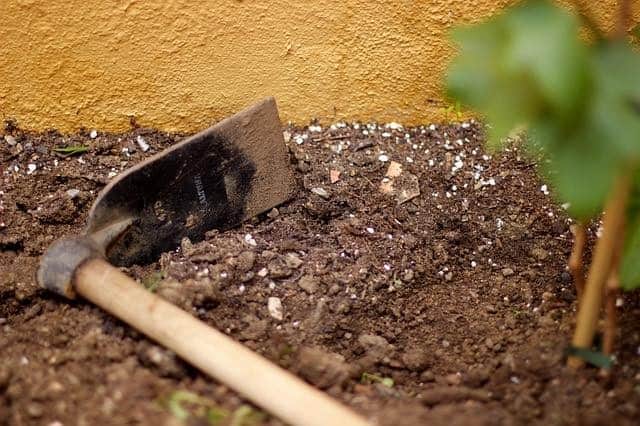 Ericaceous Compost: How to Make and When to Use - Ready To DIY