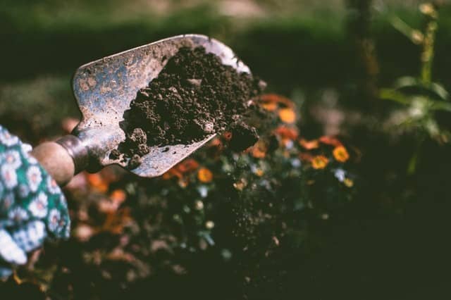 Why Your Compost is Not Breaking Down - Ready To DIY