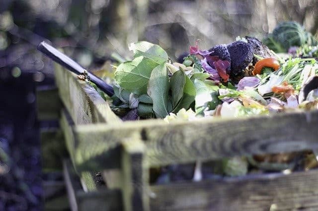 How to Keep Compost From Attracting Bugs, Insects, and Pests - Ready To DIY