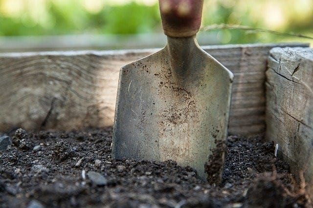 How to Keep Compost From Attracting Bugs, Insects, and Pests - Ready To DIY