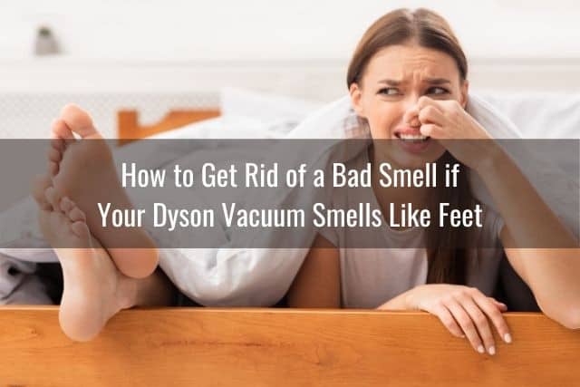 Dyson Vacuum Smells Bad - Ready To DIY