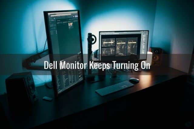 Dell Monitor Not Working Keeps Turning Off/On/Blinking - Ready To DIY