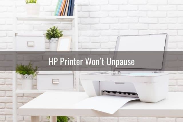 HP Printer Won’t Unpause or Keeps Canceling Print Job - Ready To DIY