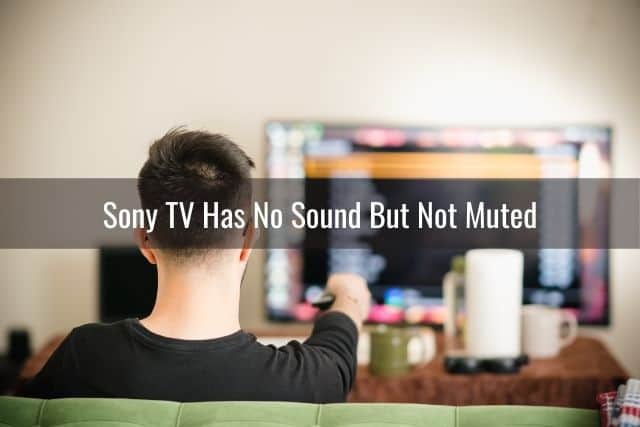 Sony TV Keeps (Muting and Unmuting/Won't Unmute) - Ready To DIY