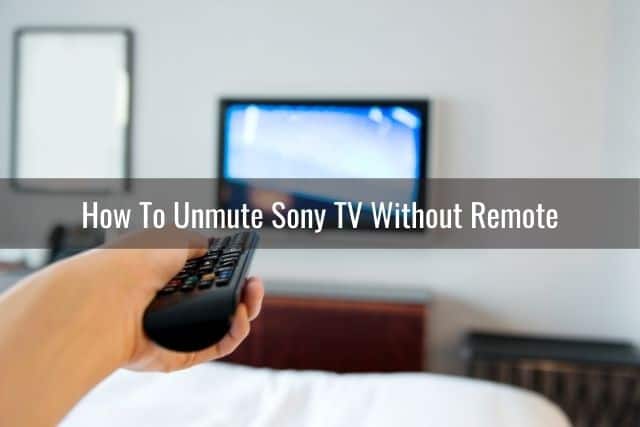 Sony TV Keeps (Muting and Unmuting/Won't Unmute) - Ready To DIY