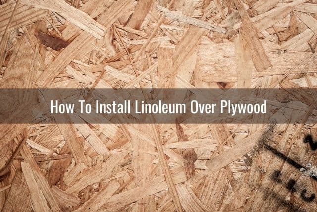 Can You Lay Linoleum Over Plywood - Ready To DIY