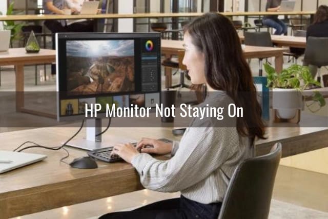 HP Monitor Not Working - Ready To DIY