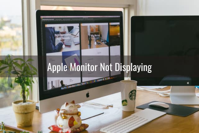 Apple Monitor Not Working - Ready To DIY
