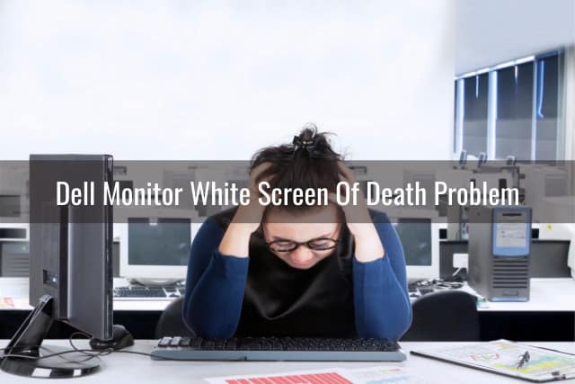 Dell Monitor Black/White Screen Problem - Ready To DIY