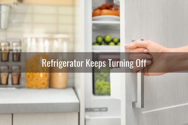 Refrigerator Not Working/Cooling - Ready To DIY