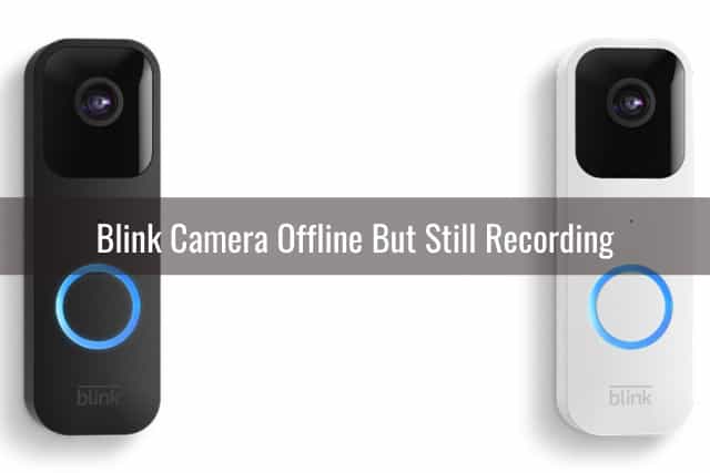 Blink Camera Not Detecting/Recording - Ready To DIY