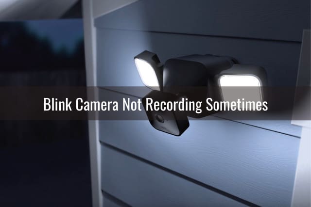 Blink Camera Not Detecting/Recording - Ready To DIY
