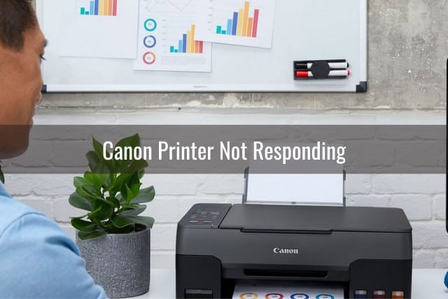 Canon Printer Not Working - Ready To DIY