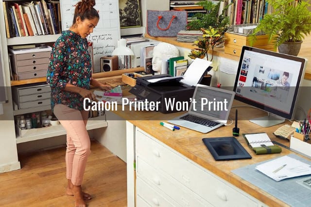 Canon Printer Not Working - Ready To DIY