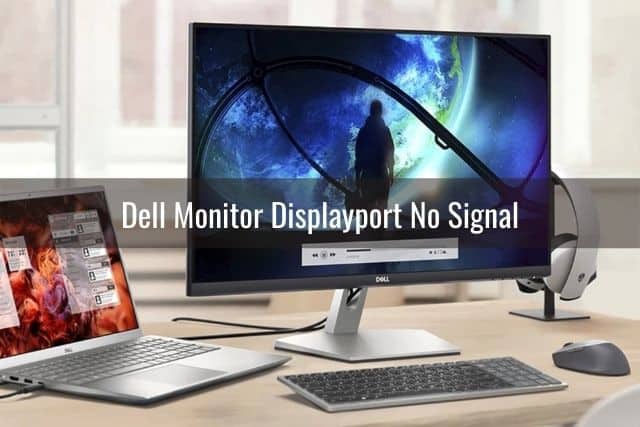 Dell Monitor Displayport Not Working - Ready To DIY