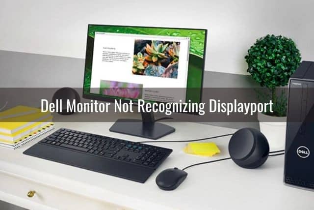 Dell Monitor Displayport Not Working - Ready To DIY