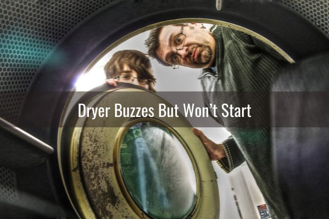 Dryer Buzzes - Ready To DIY