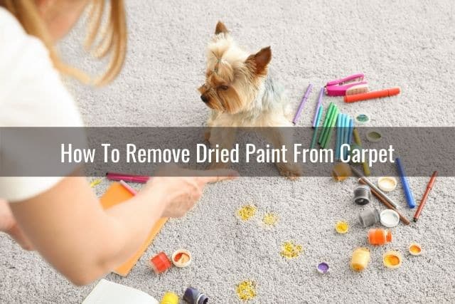 How To Remove Paint From Carpet - Ready To DIY