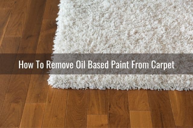 How To Remove Paint From Carpet - Ready To DIY