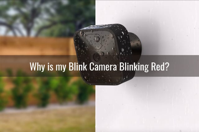 Blink Camera Blinking - Ready To DIY