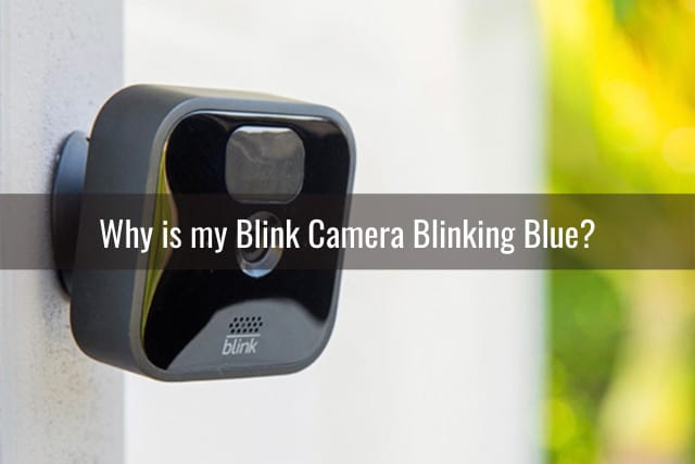 Blink Camera Blinking - Ready To DIY