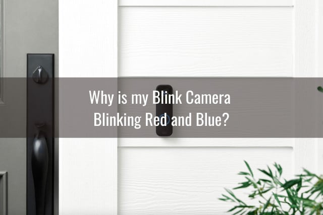 Blink Camera Blinking - Ready To DIY