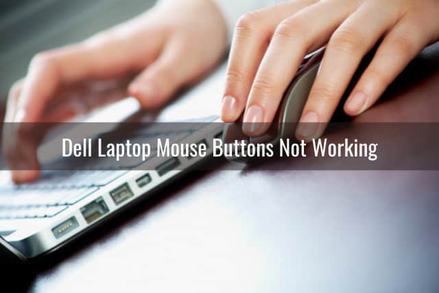 Dell Laptop Mouse not Working - Ready To DIY