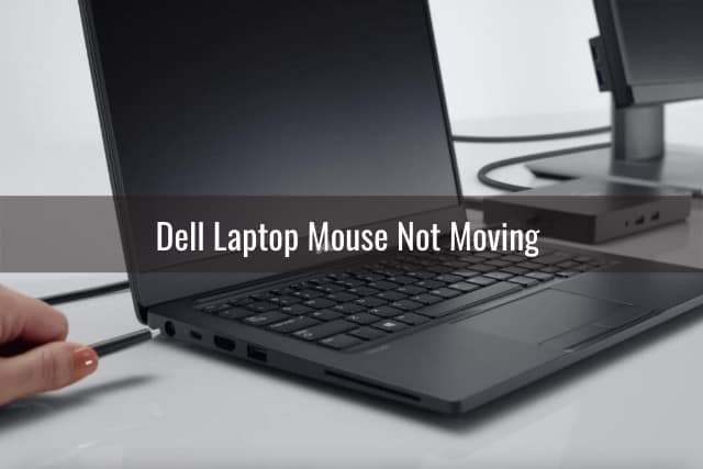 Dell Laptop Mouse not Working - Ready To DIY