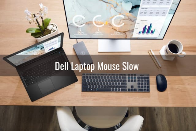 Dell Laptop Mouse not Working - Ready To DIY