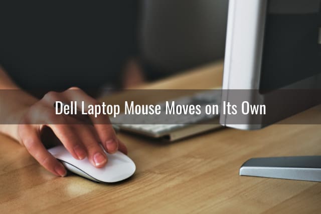 Dell Laptop Mouse not Working - Ready To DIY