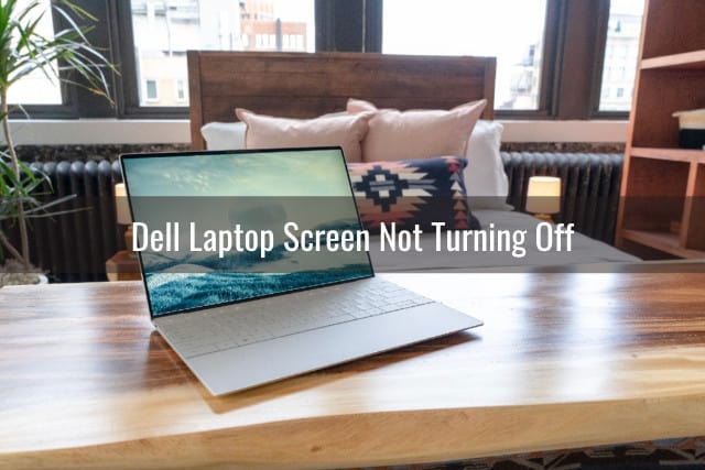 Dell Laptop Screen Not Displaying Properly - Ready To DIY