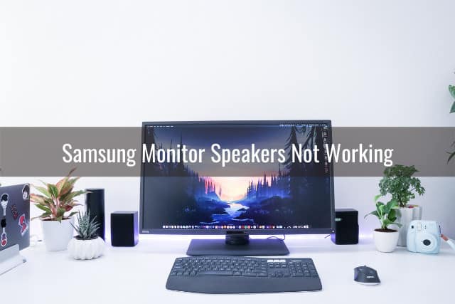 Samsung Monitor No Sound/Audio Not Working - Ready To DIY