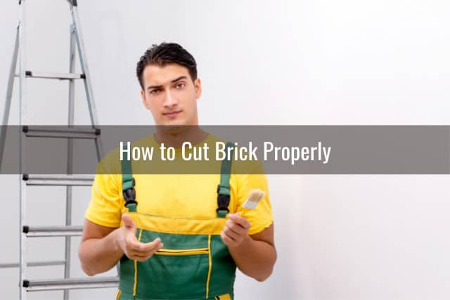 What Can You Use to Cut Brick (How To) - Ready To DIY
