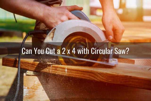 What Can You Use to Cut a 2 x 4? (How To) - Ready To DIY