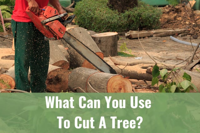 What Can You Use To Cut A Tree? (How To) - Ready To DIY