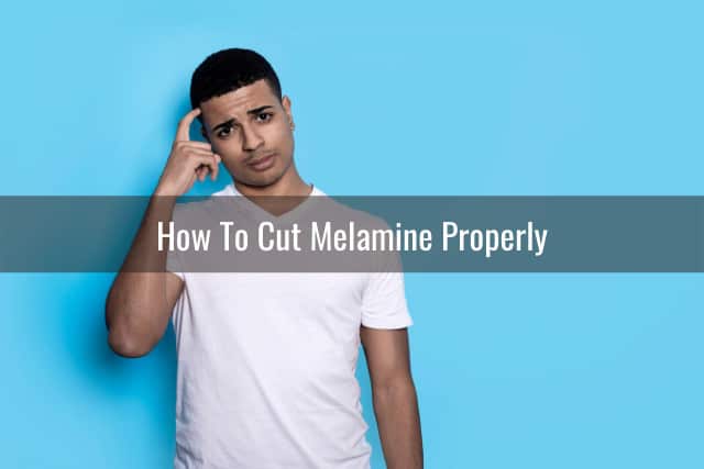 What Can You Use To Cut Melamine? (How To) - Ready To DIY