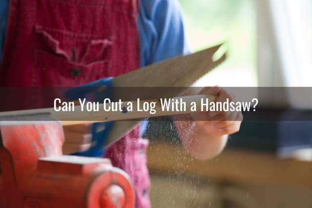What Can You Use to Cut a Log? (How To) - Ready To DIY