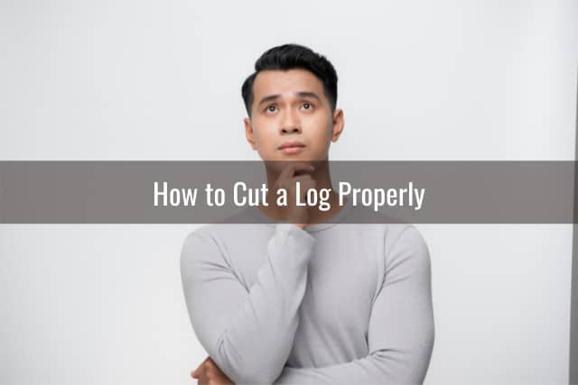 What Can You Use to Cut a Log? (How To) - Ready To DIY