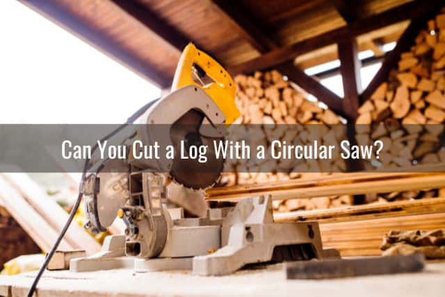 What Can You Use to Cut a Log? (How To) - Ready To DIY