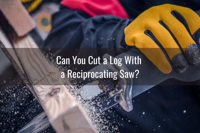 What Can You Use to Cut a Log? (How To) - Ready To DIY
