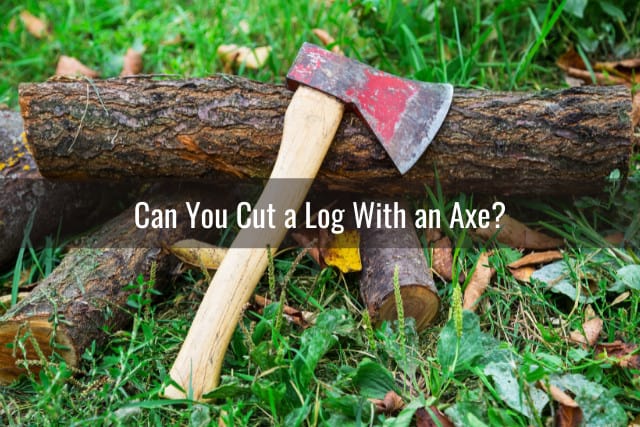 What Can You Use to Cut a Log? (How To) - Ready To DIY