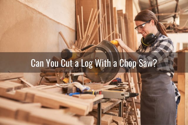 What Can You Use to Cut a Log? (How To) - Ready To DIY