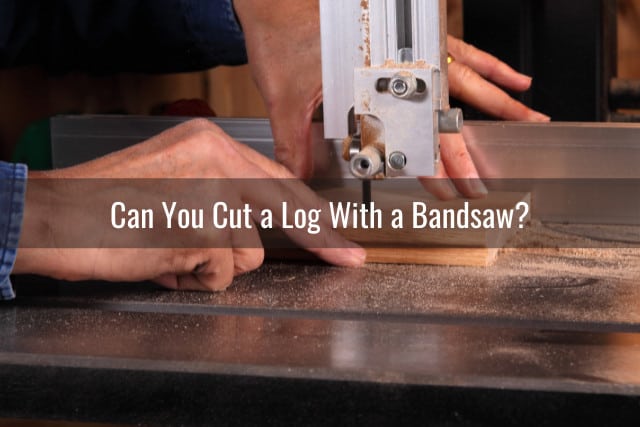 What Can You Use to Cut a Log? (How To) - Ready To DIY