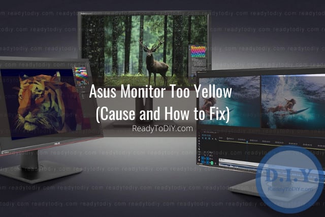 Asus Monitor Screen Issues (How to Troubleshoot) - Ready To DIY