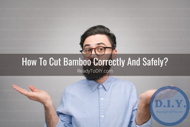 What Can You Use To Cut Bamboo? (How to) - Ready To DIY