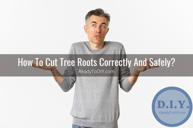 What Can You Use To Cut Tree Roots? (How to) - Ready To DIY