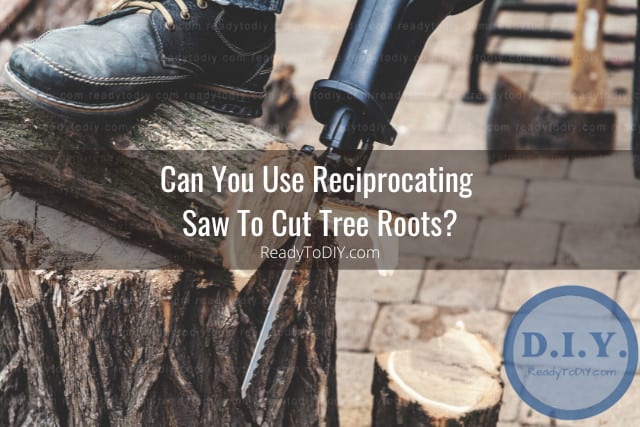 What Can You Use To Cut Tree Roots? (How to) - Ready To DIY