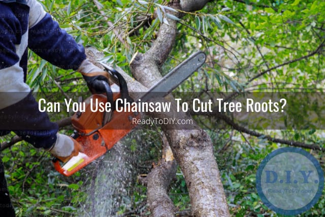 What Can You Use To Cut Tree Roots? (How to) - Ready To DIY