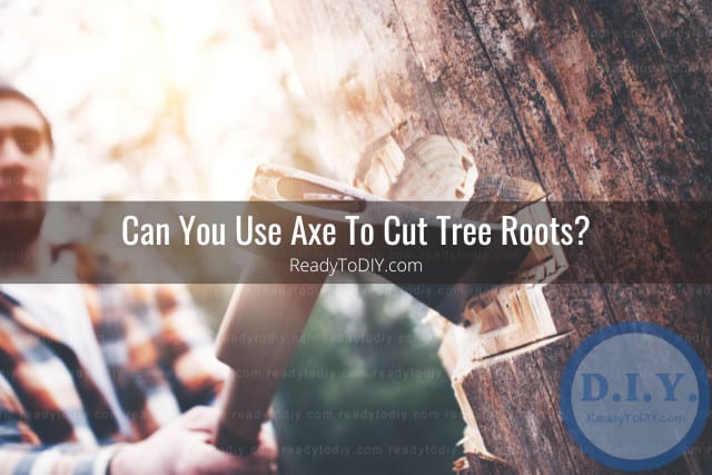 What Can You Use To Cut Tree Roots? (How to) - Ready To DIY