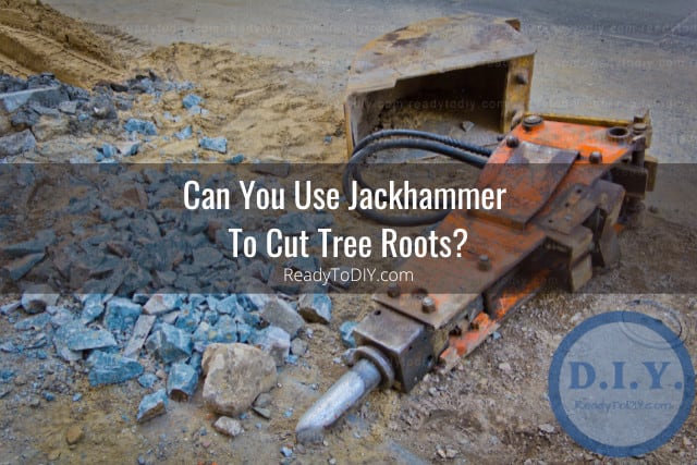 What Can You Use To Cut Tree Roots? (How to) - Ready To DIY